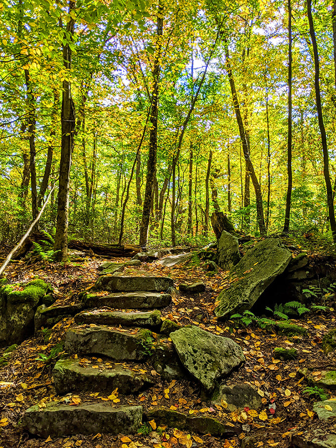 Stone steps ascending through a golden forest – like a stairway to heaven, but with better foliage and fewer guitar solos.
