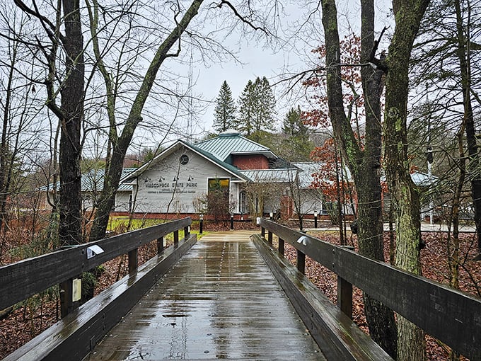 Rain-slicked boardwalks lead to adventure at Nescopeck's visitor center. Like the chocolate factory's golden ticket, this entrance promises wonders within.