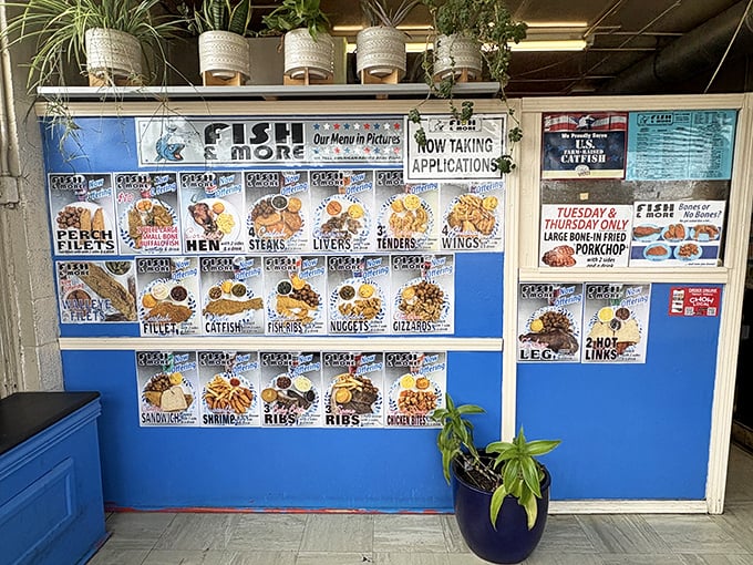 The photo menu board—a visual feast before the actual feast—showcases golden-fried treasures that make decision-making deliciously difficult.