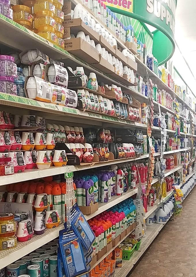 A rainbow of cleaning products stands at attention, ready to battle any household mess without waging war on your wallet.