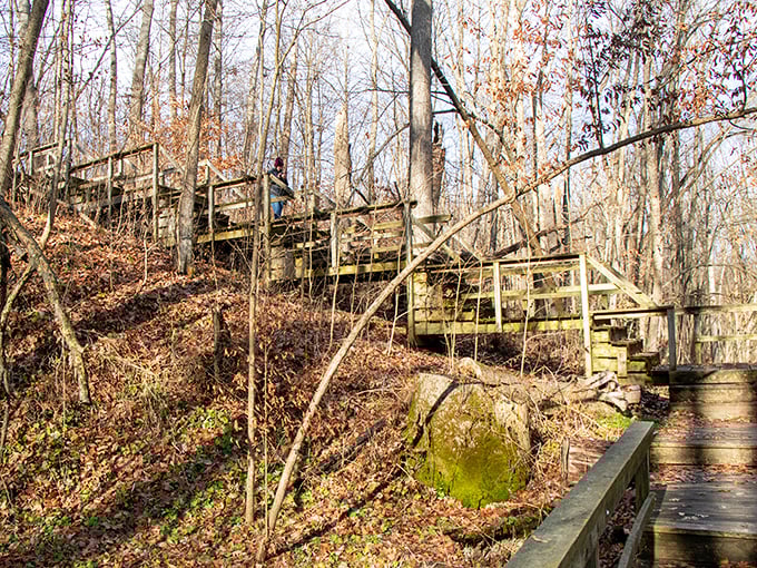 Stairway to heaven? Almost! These rustic wooden steps lead hikers through autumn's golden canvas, connecting trails that wind between Chain O' Lakes' peaceful waterways.