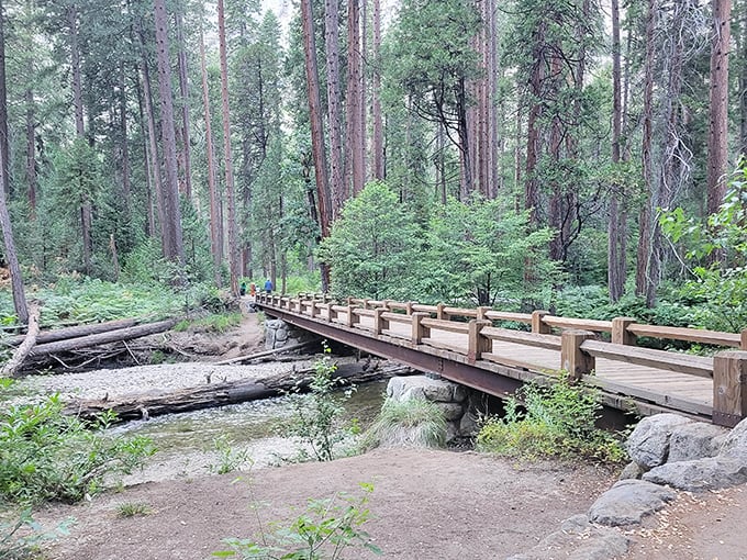 This wooden bridge isn't just crossing a stream—it's your gateway to wonderland. Narnia's got nothing on Yosemite.