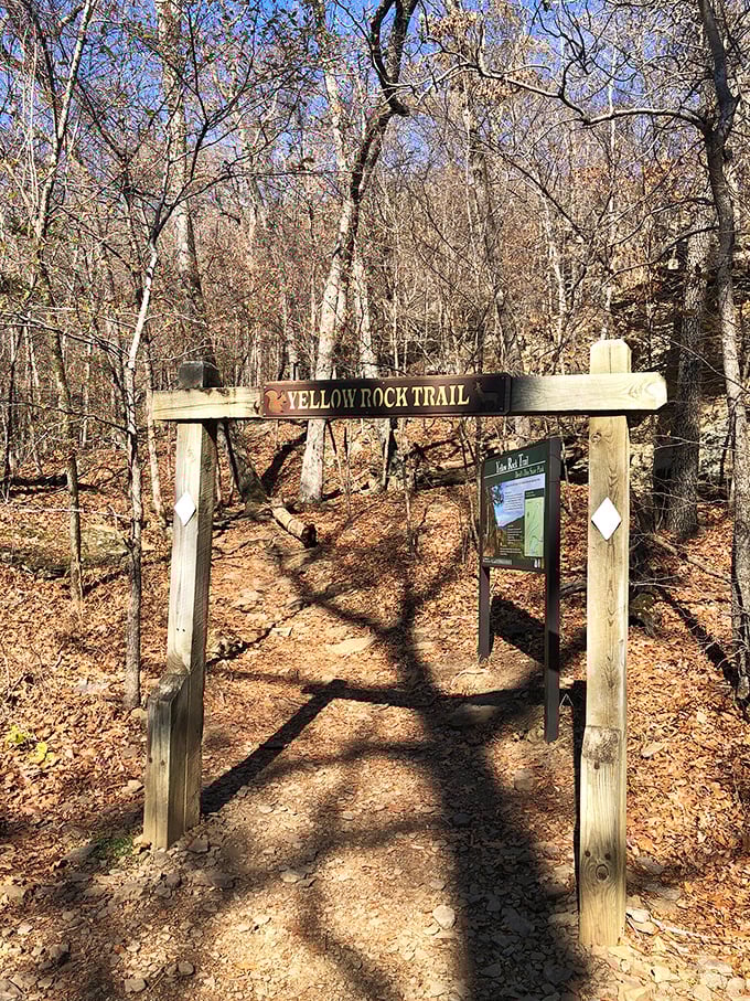The Yellow Rock Trail entrance promises more than just a hike—it's a portal to panoramic vistas that'll make your Instagram followers green with envy.