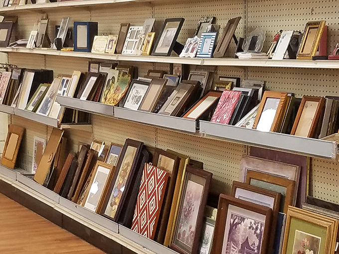 A gallery of forgotten memories awaits new walls – one person's discard becomes another's conversation piece.