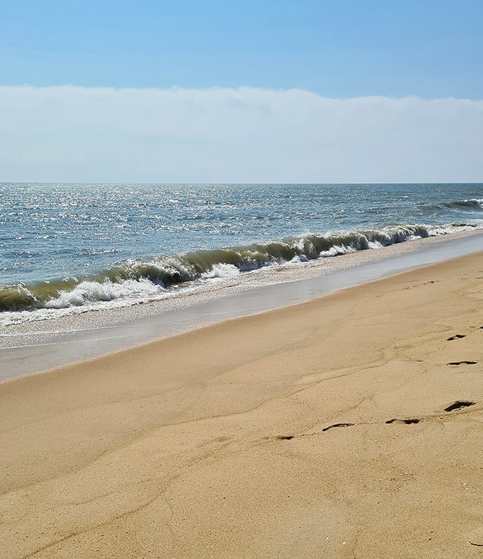 The Atlantic whispers secrets to empty stretches of sand. Off-season beach walks here are less an activity and more a form of meditation.
