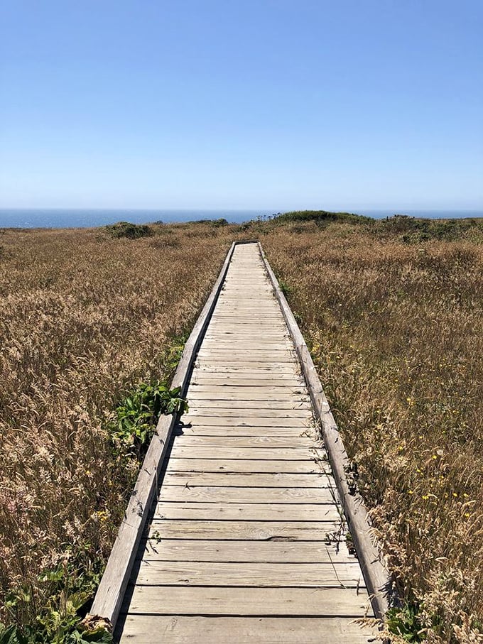This wooden boardwalk promises adventure at the end—like life's best journeys, it's the anticipation of what lies beyond that quickens the pulse.