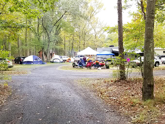 Camping at Allaire isn't roughing it—it's reconnecting. These happy campers have found the sweet spot between wilderness and Wi-Fi withdrawal.