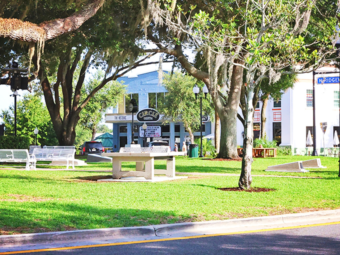 The Circle, Sebring's beating heart, offers shady benches and green spaces where locals gather to swap stories under century-old oak trees.