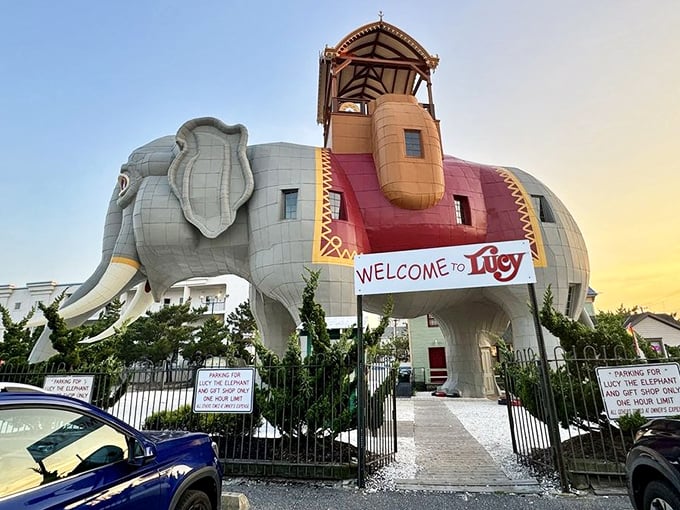 "Welcome to Lucy" indeed! The entrance beckons visitors through her legs, proving some elephants don't mind if you stare.