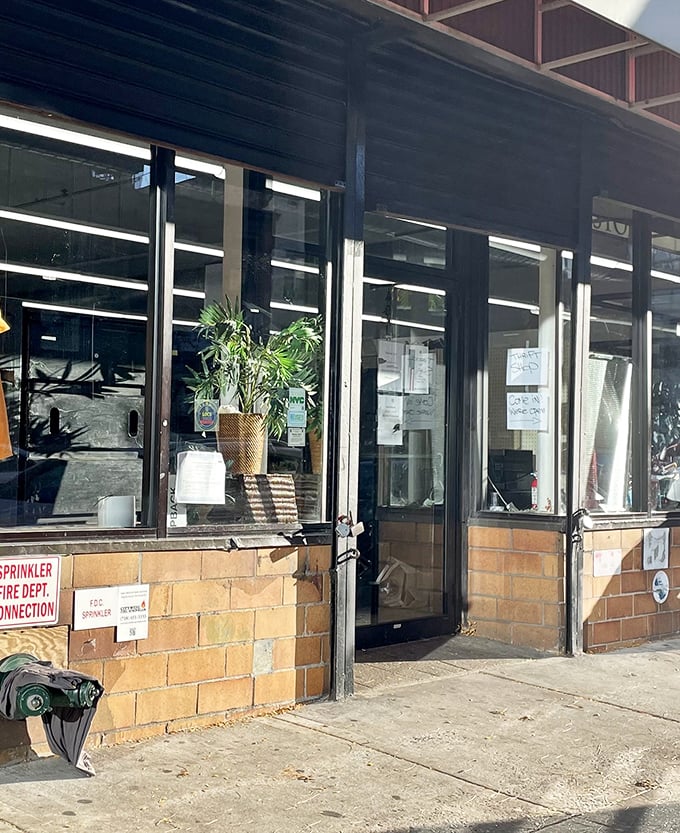 No velvet ropes or snooty salespeople here—just glass doors opening to a world where yesterday's luxuries become today's affordable finds.