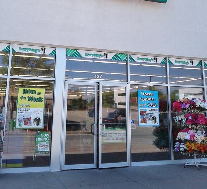 Everything's $1 isn't just a slogan—it's practically a love letter to your wallet waiting at the entrance.
