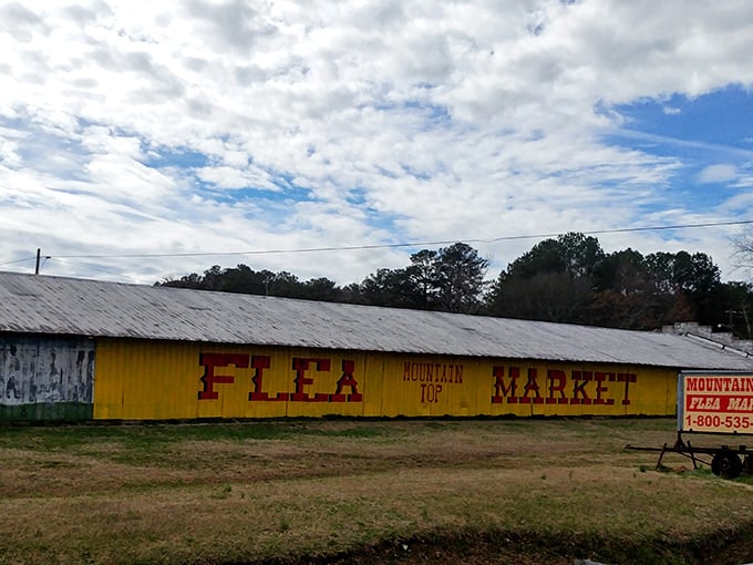 That iconic yellow building stands like a beacon of bargain-hunting hope, promising adventures in commerce that big box stores simply can't deliver.