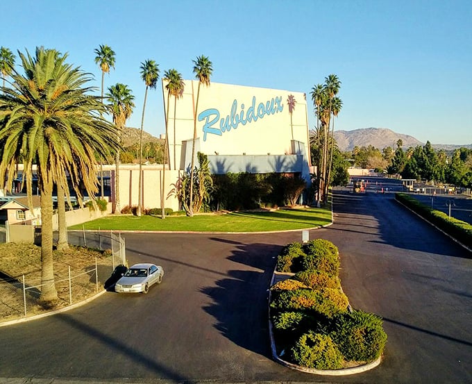 That retro blue script against white concrete announces you've arrived somewhere special—a slice of Americana preserved in palm-lined perfection.