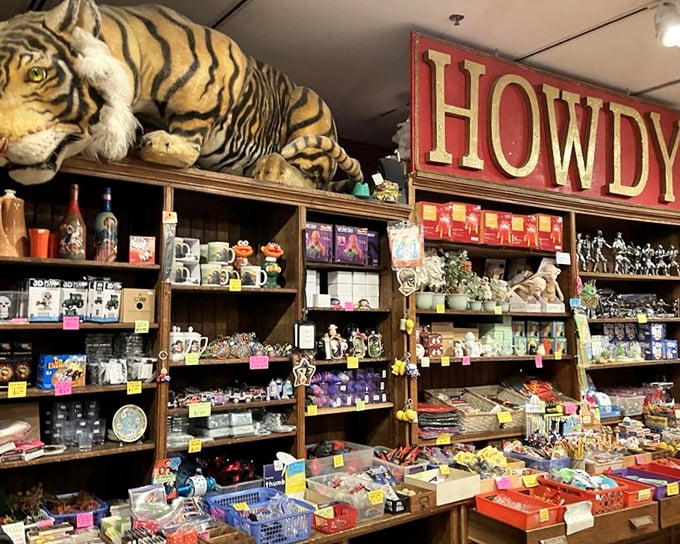 The gift shop greets you with a tiger's grin and a "HOWDY" that perfectly captures the museum's personality—part curiosity cabinet, part treasure hunt.