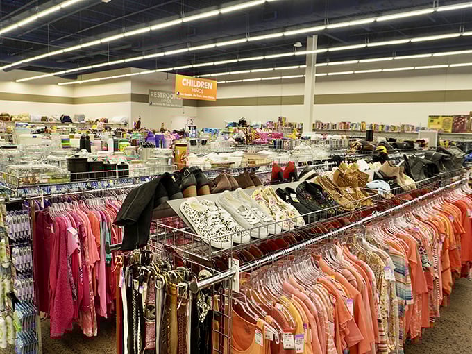 Row after gleaming row of organized treasures stretch toward the horizon like a bargain hunter's fever dream come true.