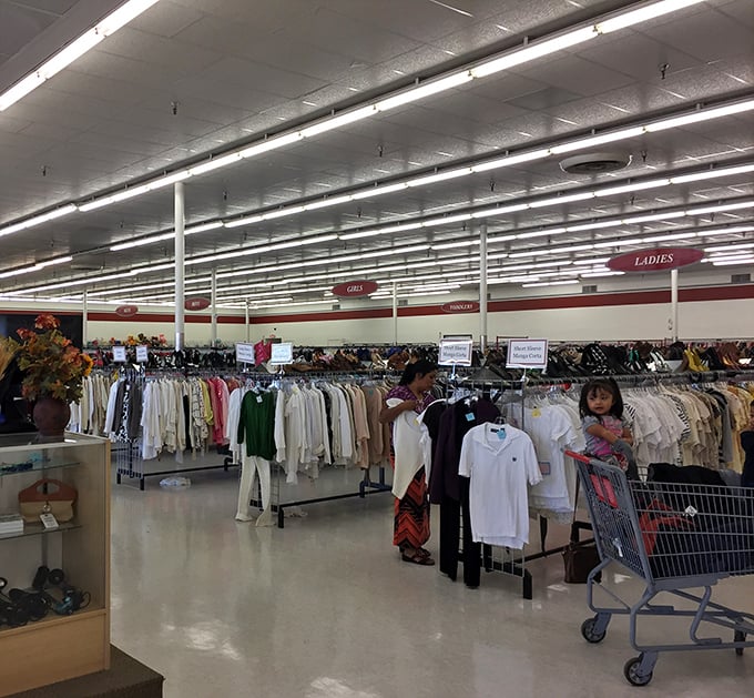 Organized chaos at its finest—where every aisle tells a different story and each rack holds someone's past waiting to become your future favorite.