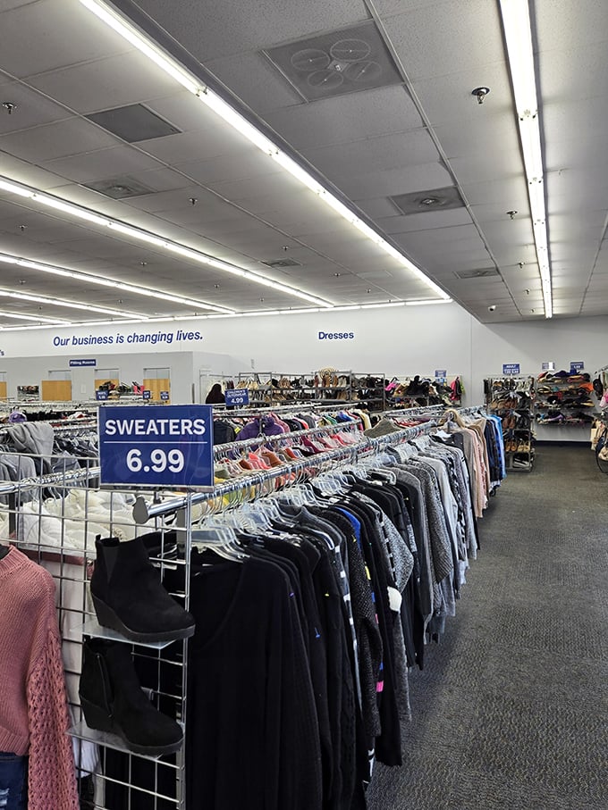 Sweaters for $6.99? That's not a typo—that's the everyday reality where treasure hunting becomes an Olympic sport.