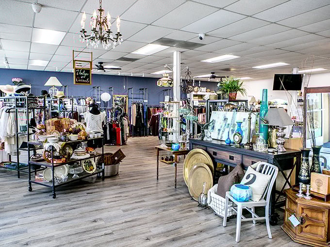 Crystal chandeliers hang above carefully curated vignettes. This isn't your average jumbled thrift store—it's organized chaos with a touch of elegance.