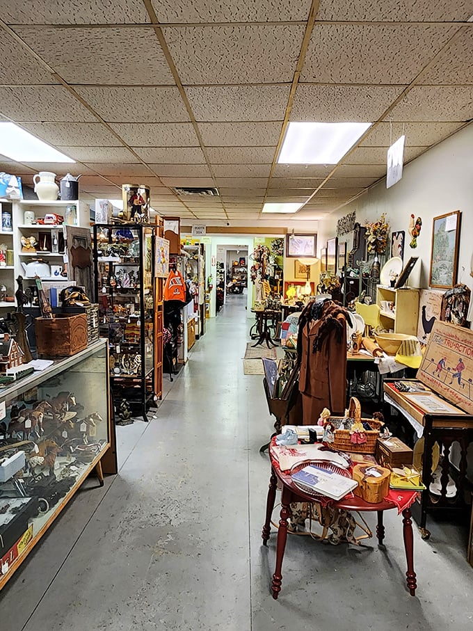 Corridors of curiosities stretch into the distance, promising discoveries around every corner. It's like walking through the physical manifestation of your grandmother's memories.