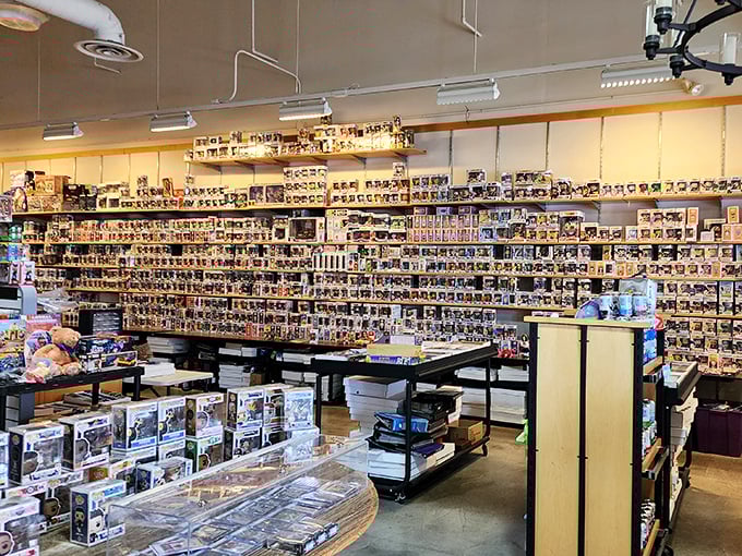 A collector's paradise where pop culture figurines stand at attention like tiny plastic soldiers guarding your childhood memories and wallet simultaneously.