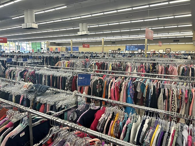 Rows upon rows of clothing stretch toward the horizon—a textile landscape where fashion treasures hide in plain sight.