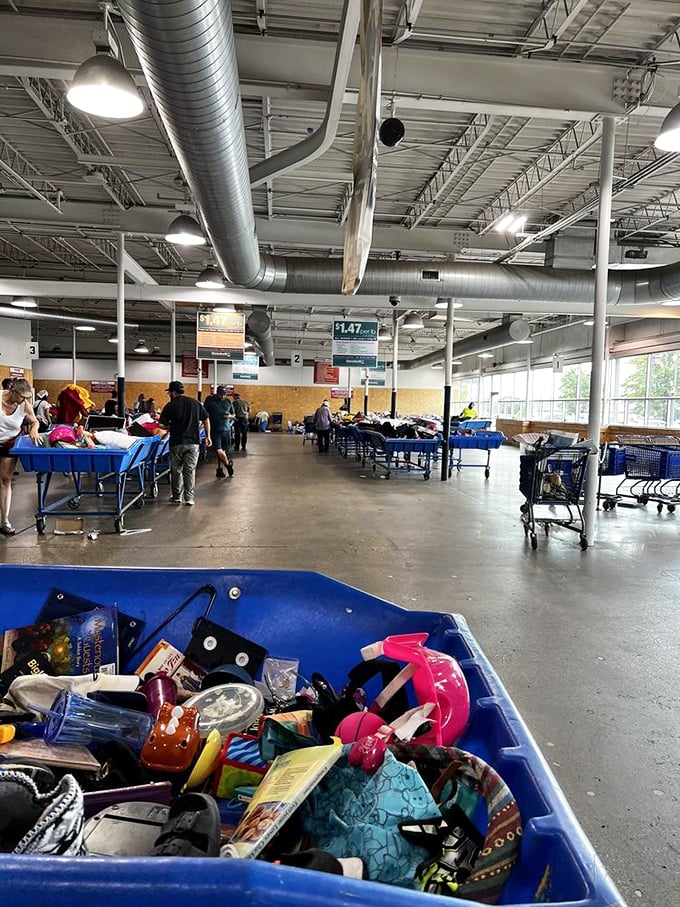 Welcome to "the bins" – where shopping becomes sport and strategy matters as much as luck. Veterans scan methodically while newcomers marvel at the organized chaos.