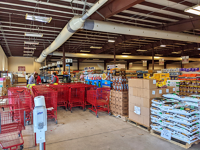 Welcome to retail paradise! Bright red carts stand ready for your bargain-hunting adventure among pallets of discounted delights.