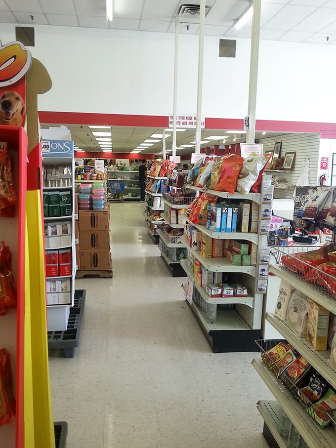 Aisles stretching toward retail infinity. The neat organization might fool you into thinking you're in a regular store—until you spot those thrift store prices.