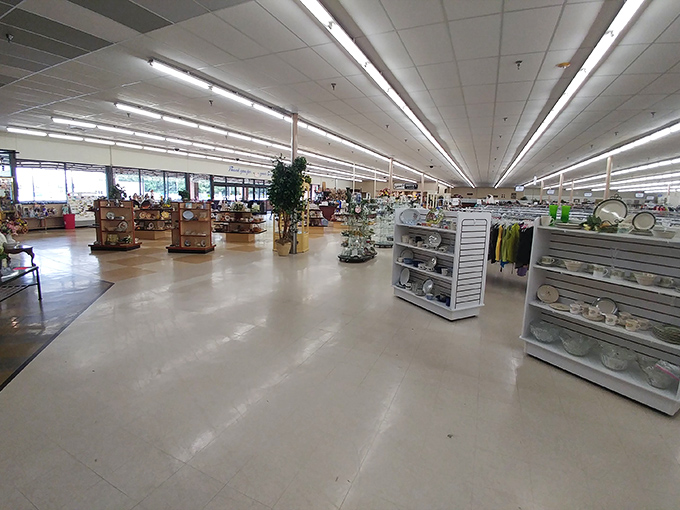 Aisles that stretch to infinity and beyond. This isn't just a store—it's an expedition waiting to happen.
