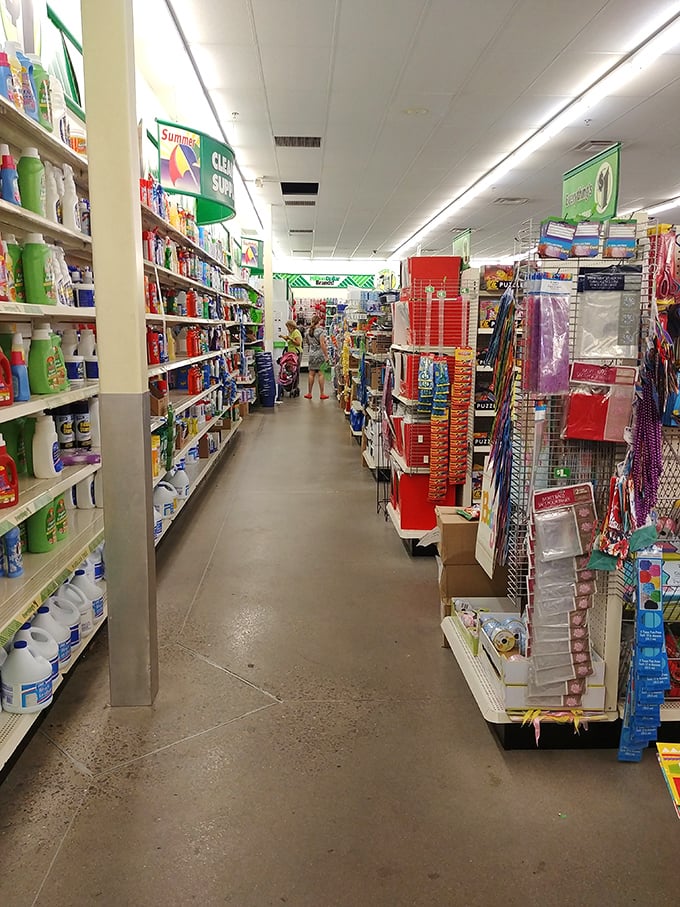 These aisles stretch longer than your holiday shopping list, packed with endless possibilities for a dollar.