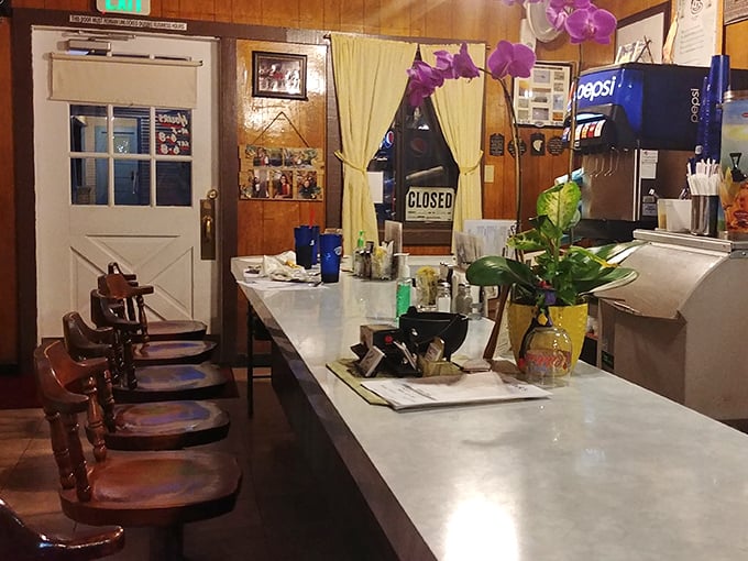 Classic counter seating where culinary magic happens. This isn't retro by design—it's authentic by survival, complete with swivel stools that demand at least one spin.