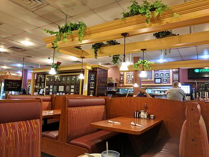 Classic diner aesthetics meet cozy comfort with wooden accents and hanging greenery. This isn't trendy minimalism—it's maximalism of the heart.