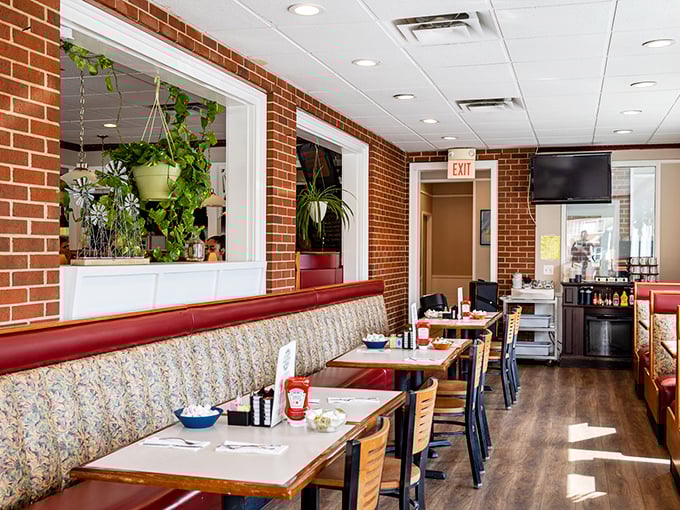 Red vinyl booths and hanging plants create that perfect diner atmosphere where comfort reigns supreme and calories don't count until tomorrow.