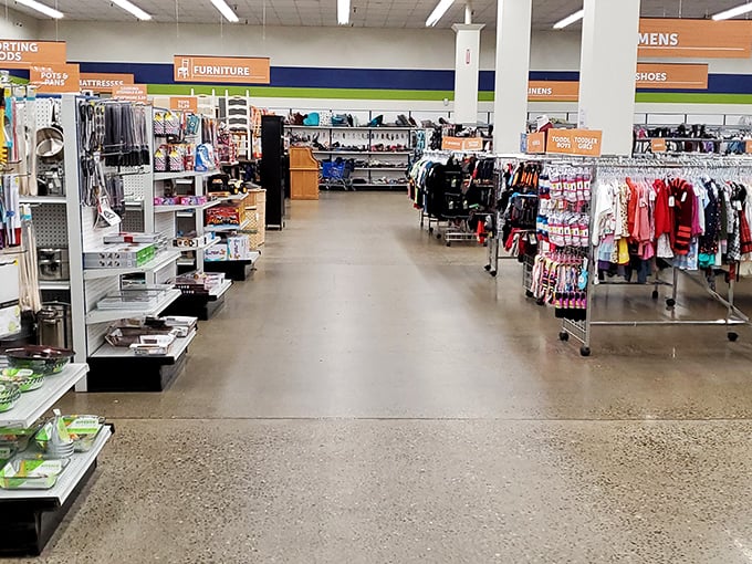 Department store organization meets yard sale prices. The wide, clean aisles invite you to wander and wonder what you'll discover next.