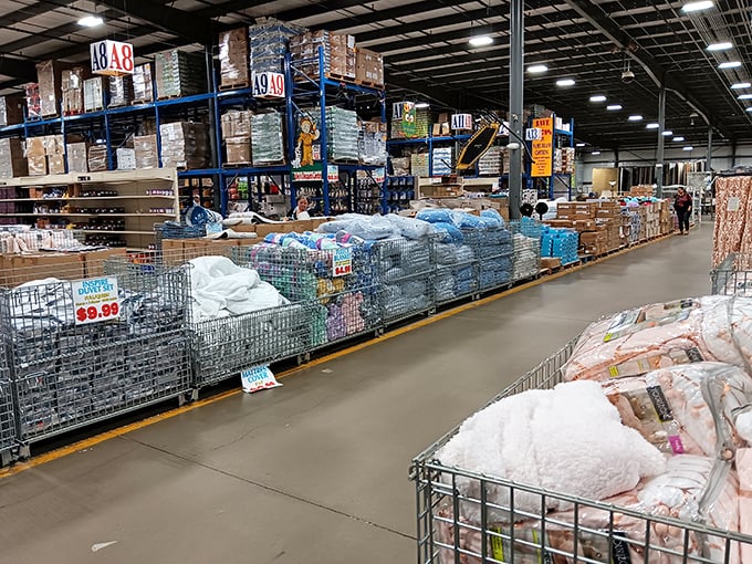 Warehouse wonderland stretches as far as the eye can see. Those towering blue shelves aren't just storage—they're the retail equivalent of buried treasure maps.