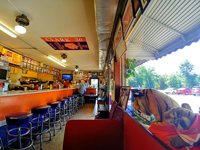 The counter seating isn't just functional—it's front-row tickets to culinary theater where Clemson sports memorabilia serves as the backdrop to everyday magic.
