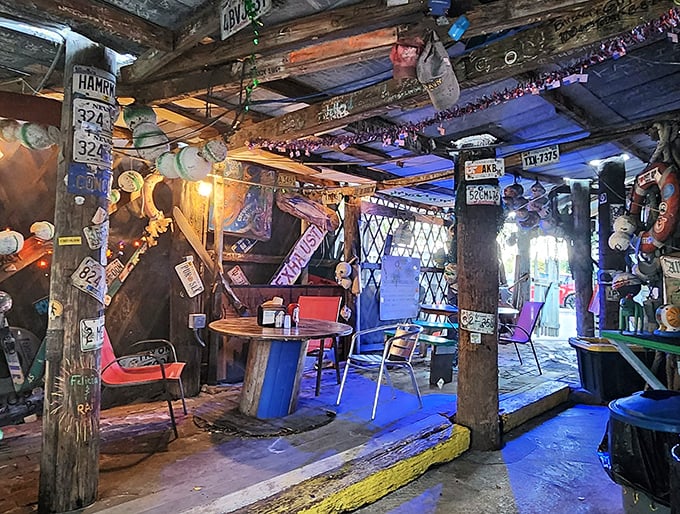 Where driftwood meets dining magic – this ceiling has more character than most five-star restaurants could ever dream of.