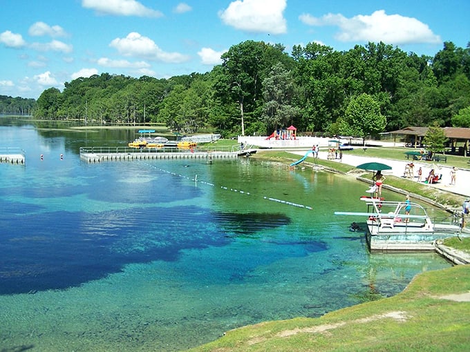 Summer in Florida distilled to its essence – families enjoying the cool spring waters while surrounded by lush greenery.