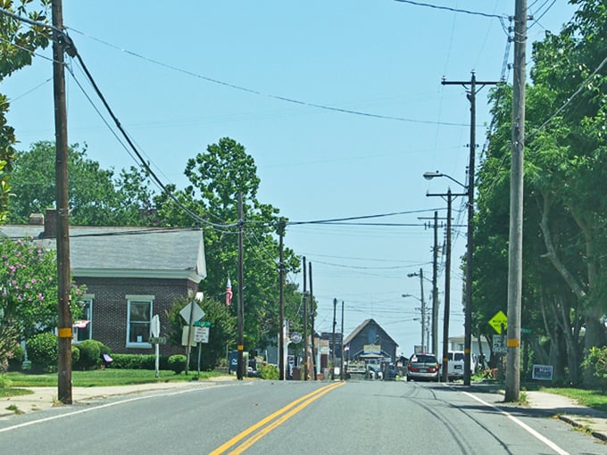 Main Street, Wachapreague style. No Starbucks, no chain stores, just the pure, unfiltered essence of coastal Virginia where everyone knows your fishing story.