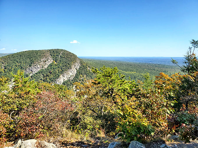 Mountains don't care about your deadlines. This vista has been perfecting its look for millions of years—talk about commitment to the craft!
