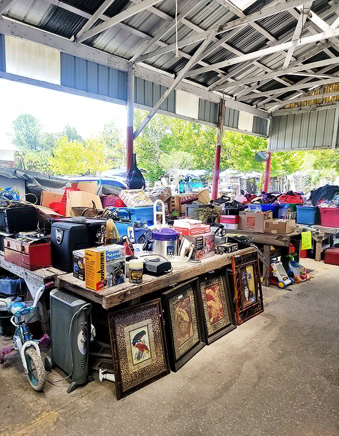 Every table tells a story at Waldo, where yesterday's household items become tomorrow's conversation pieces. One person's clutter becomes another's treasure!