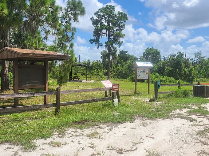 The humble park entrance – proof that the most magical Florida experiences don't require animatronic pirates or $15 ice cream cones.
