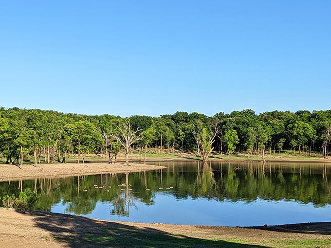 This mirror-perfect reflection makes you wonder if you're looking at water or accidentally stepped into a nature screensaver.