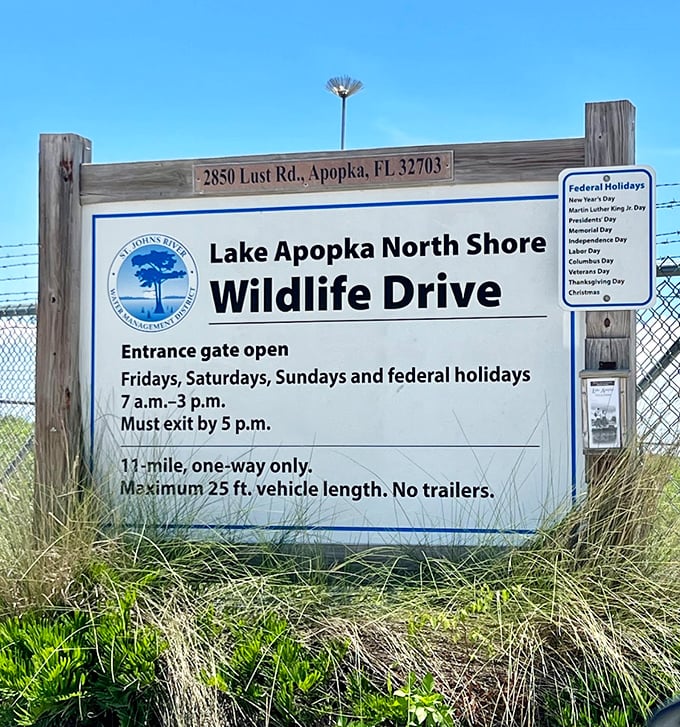 The entrance sign: your passport to wilderness. No FastPass needed for this attraction—just patience and a sense of wonder.