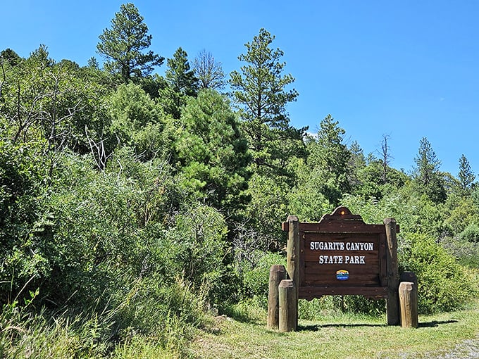 The entrance sign stands like a humble gatekeeper to paradise. No velvet rope, no admission fee—just adventure waiting beyond.