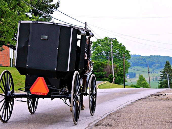 The original hybrid vehicle! Horse-drawn buggies share these winding roads with cars, creating a charming time-warp traffic scenario.