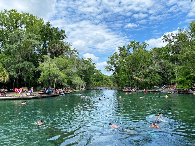Florida's natural swimming pool where the water is so clear, you'll wonder if someone forgot to add the blue dye.