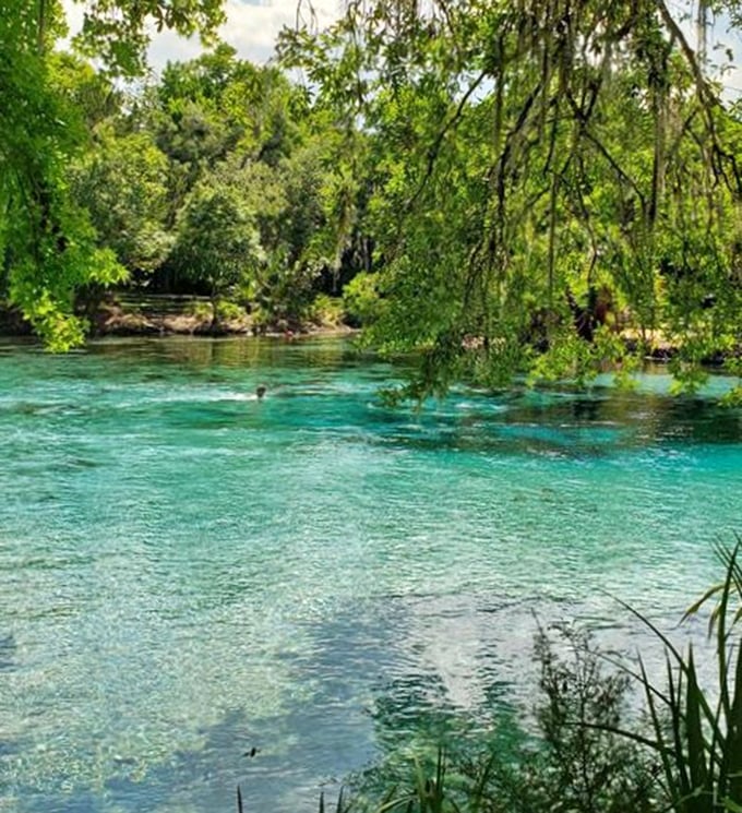 The water is so clear you might forget it's there until you jump in. Mother Nature's version of high-definition reality.