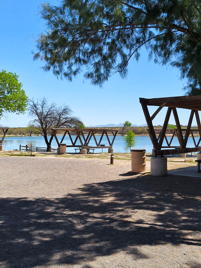 Desert shade never looked so inviting. These rustic ramadas offer front-row seats to nature's best show – no tickets required!