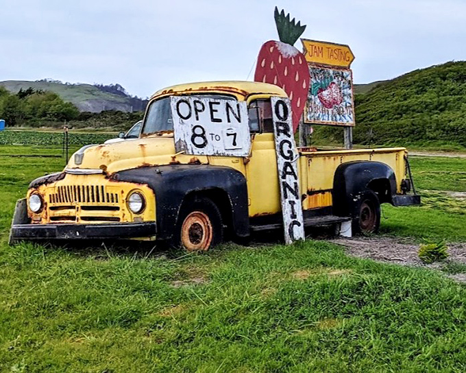 This vintage yellow truck isn't just Instagram bait—it's a time machine to when food came with stories, not barcodes.